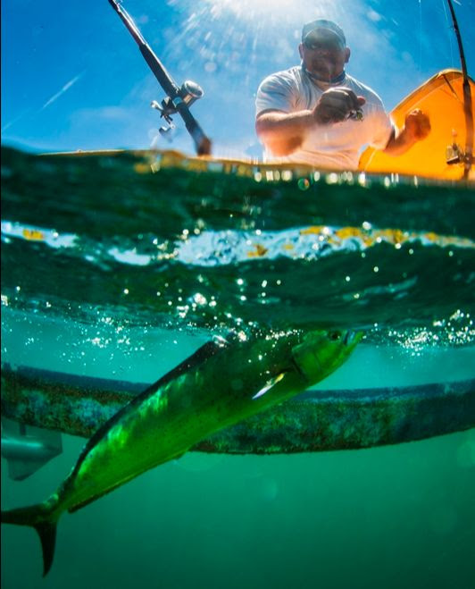 Mar de Cortés, Baja California Sur, ideal para pescar todo el año