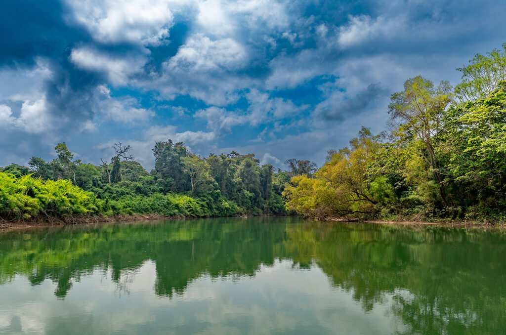Pantanos de Centla, Tesoro de México - Revista Raudal