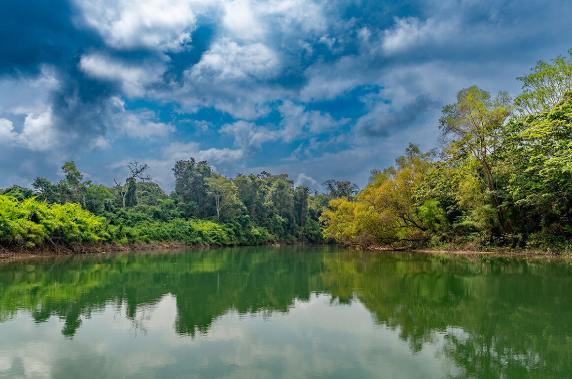 Pantanos de Centla, Tesoro de México - Revista Raudal