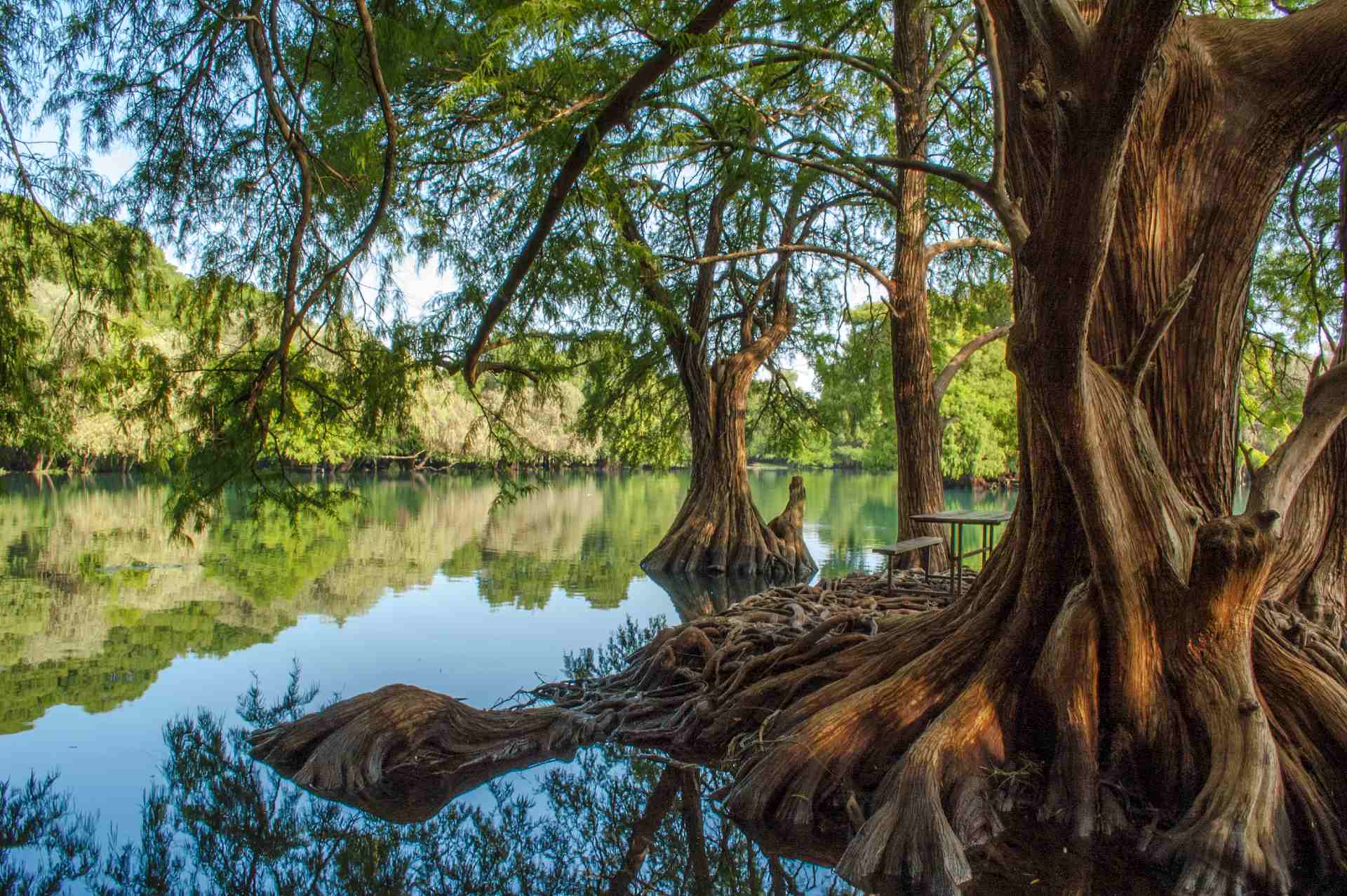 Explora la Maravilla Natural del Lago de Camécuaro en Michoacán ...