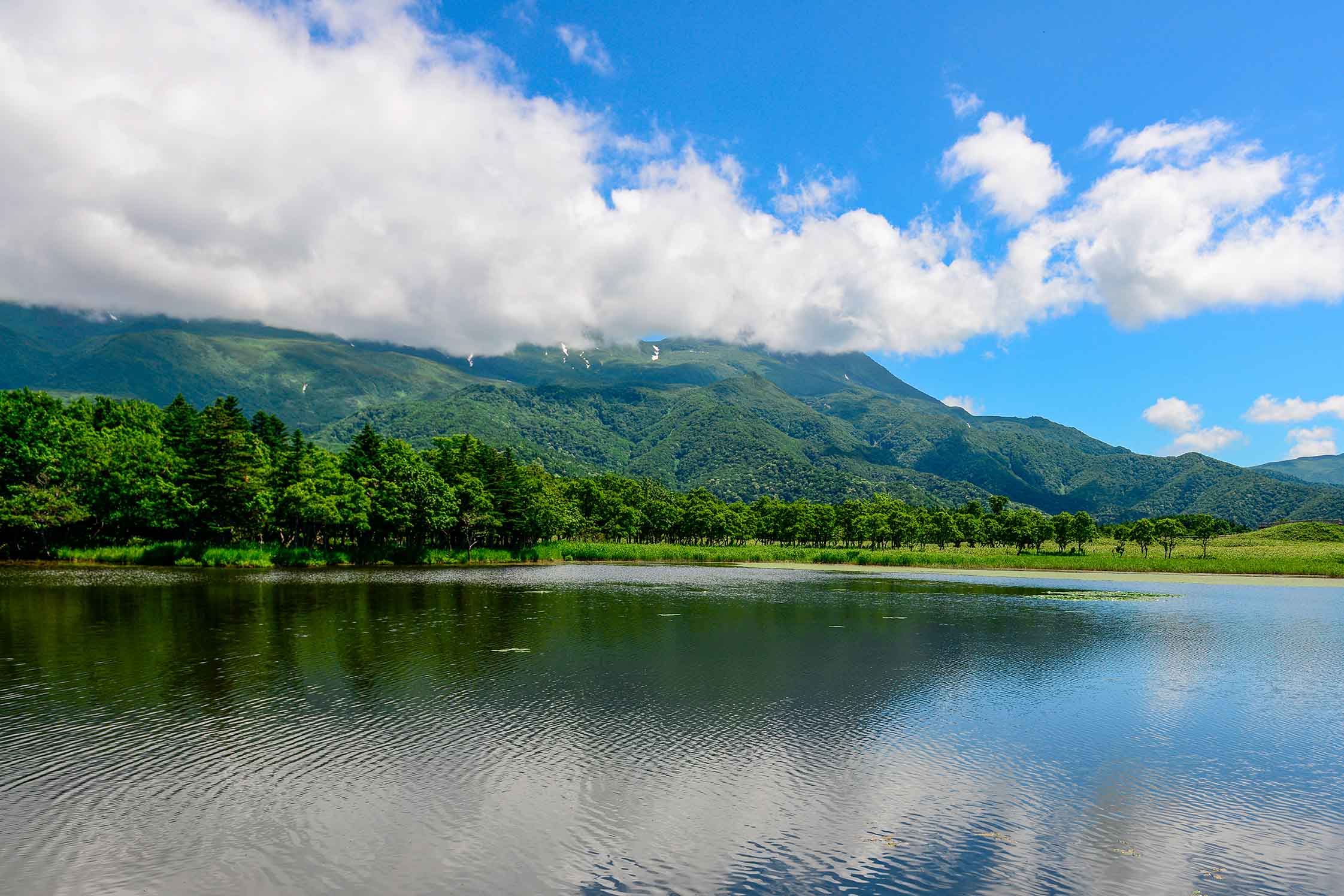 Parque Nacional Shiretoko: Un Paraíso Natural en la Península de ...