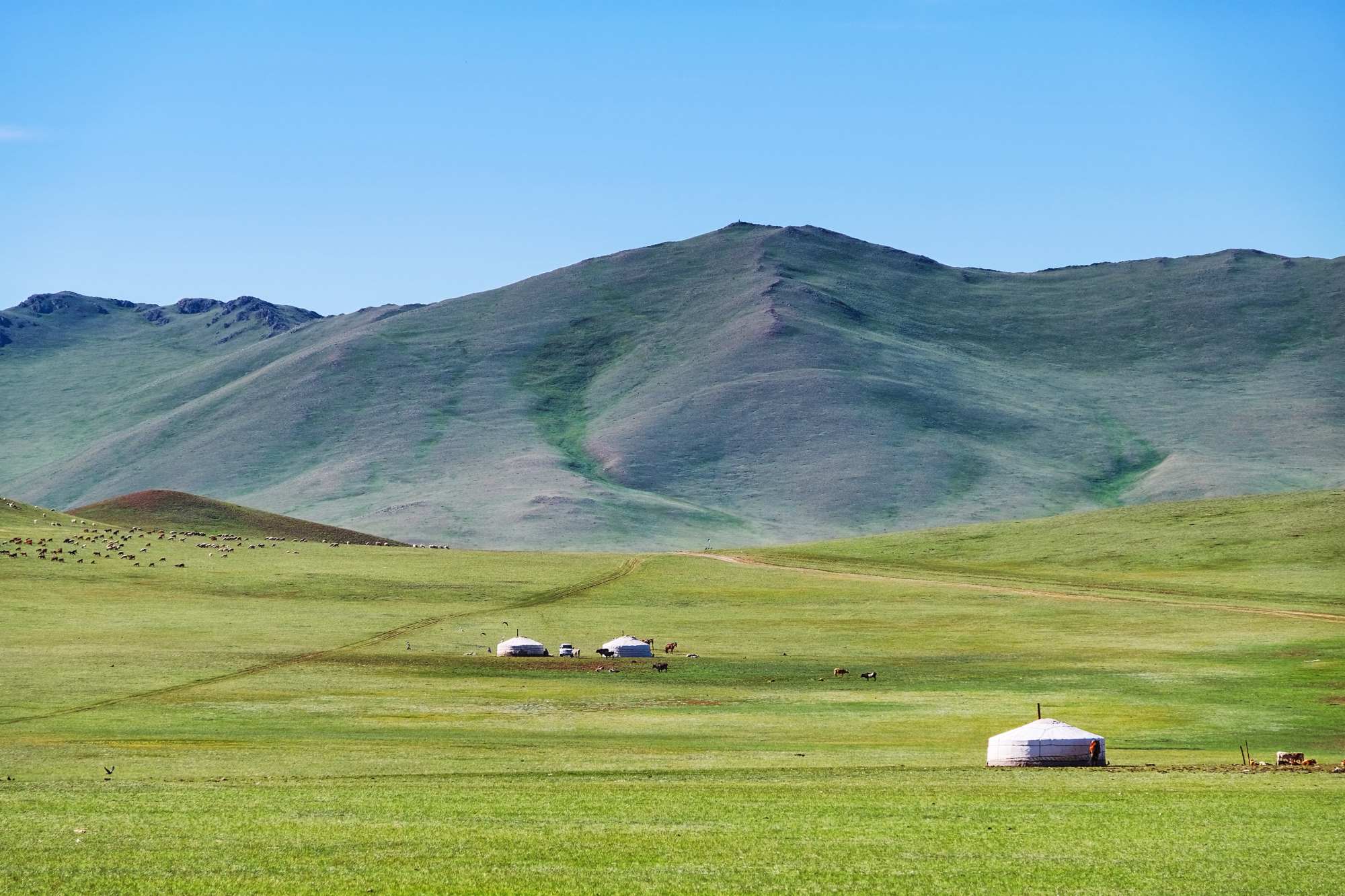 Mongolia: Cultura Nómada y Paisajes de Estepa Infinita - Revista Raudal