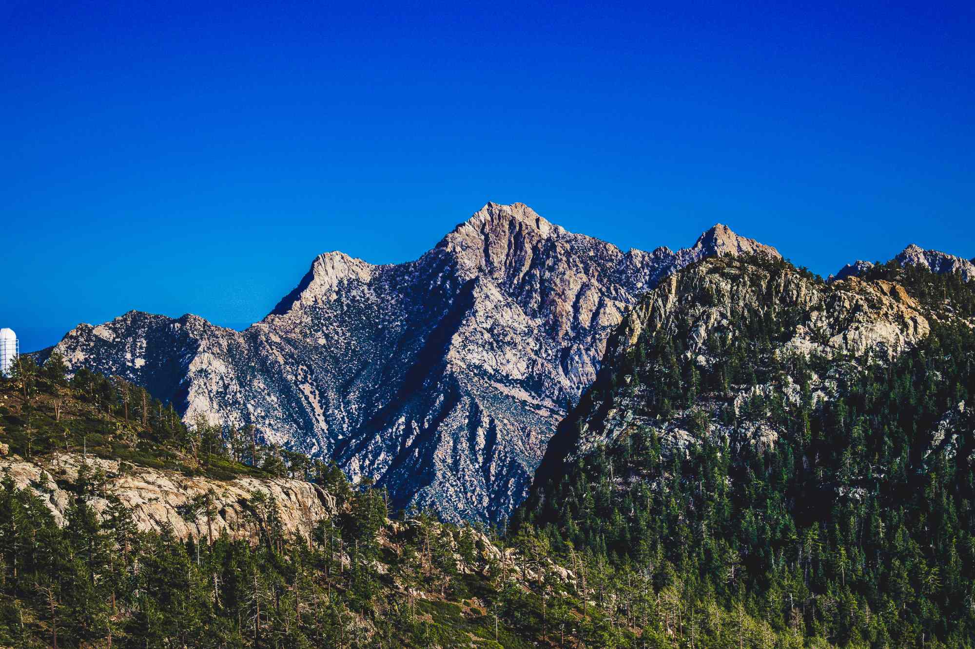 Parque Nacional Sierra de San Pedro Mártir: Naturaleza y Observación de ...