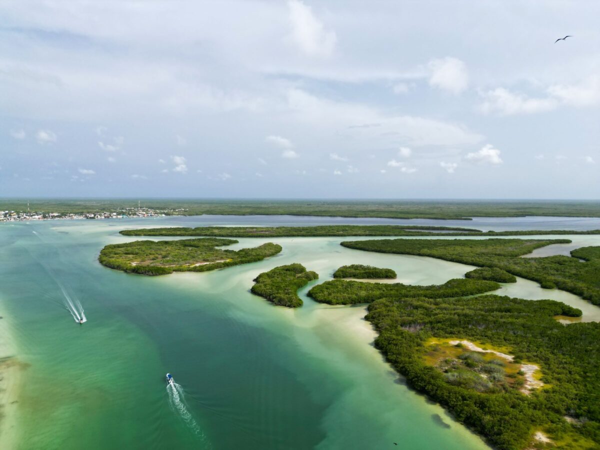 Santa Clara del Cobre, Michoacán: Tradición y Maestría en Arte de Cobre ...