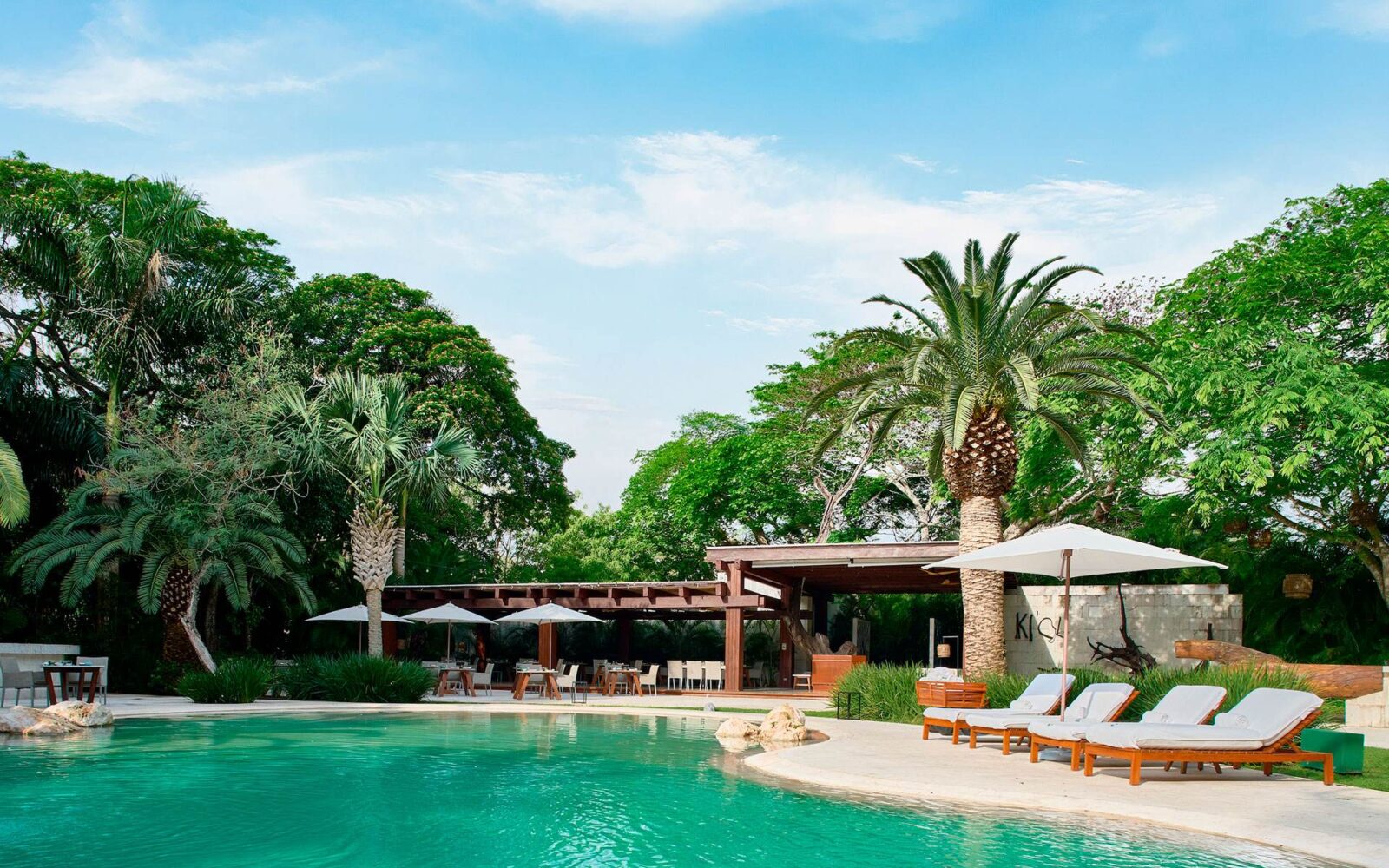 Cenotes de Yucatán: La Ruta Subterránea del Agua - Revista Raudal