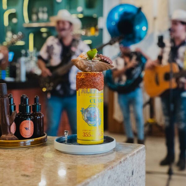 Seris: Guardianes del Desierto y el Mar en Sonora - Revista Raudal